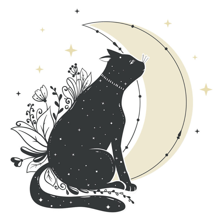 Sticker Chat Mystique | Stickers | Autocollants | Stickerdeco.fr