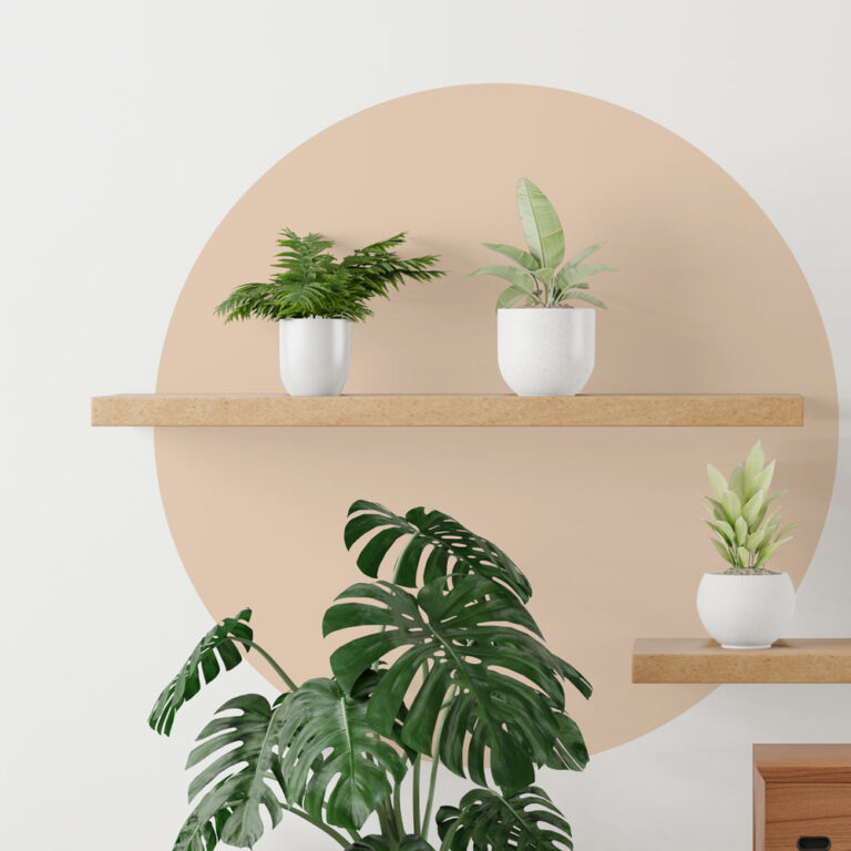 Sticker Rond Creme | Autocollant | Stickerdeco.fr