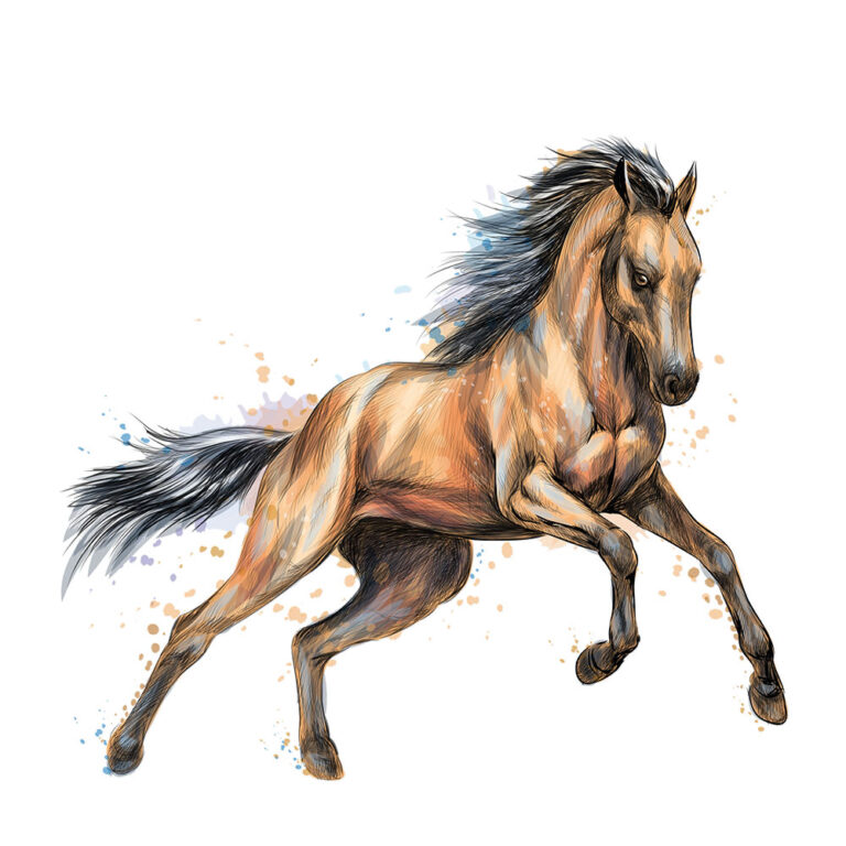 Sticker Cheval Galop Aquarelle | Stickers Animaux | StickerDeco.fr